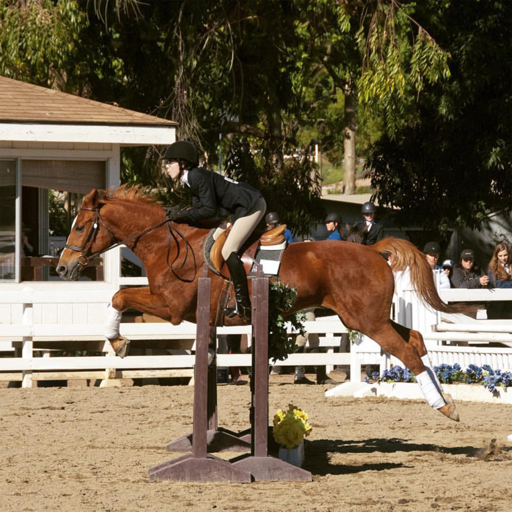 Equestrian
